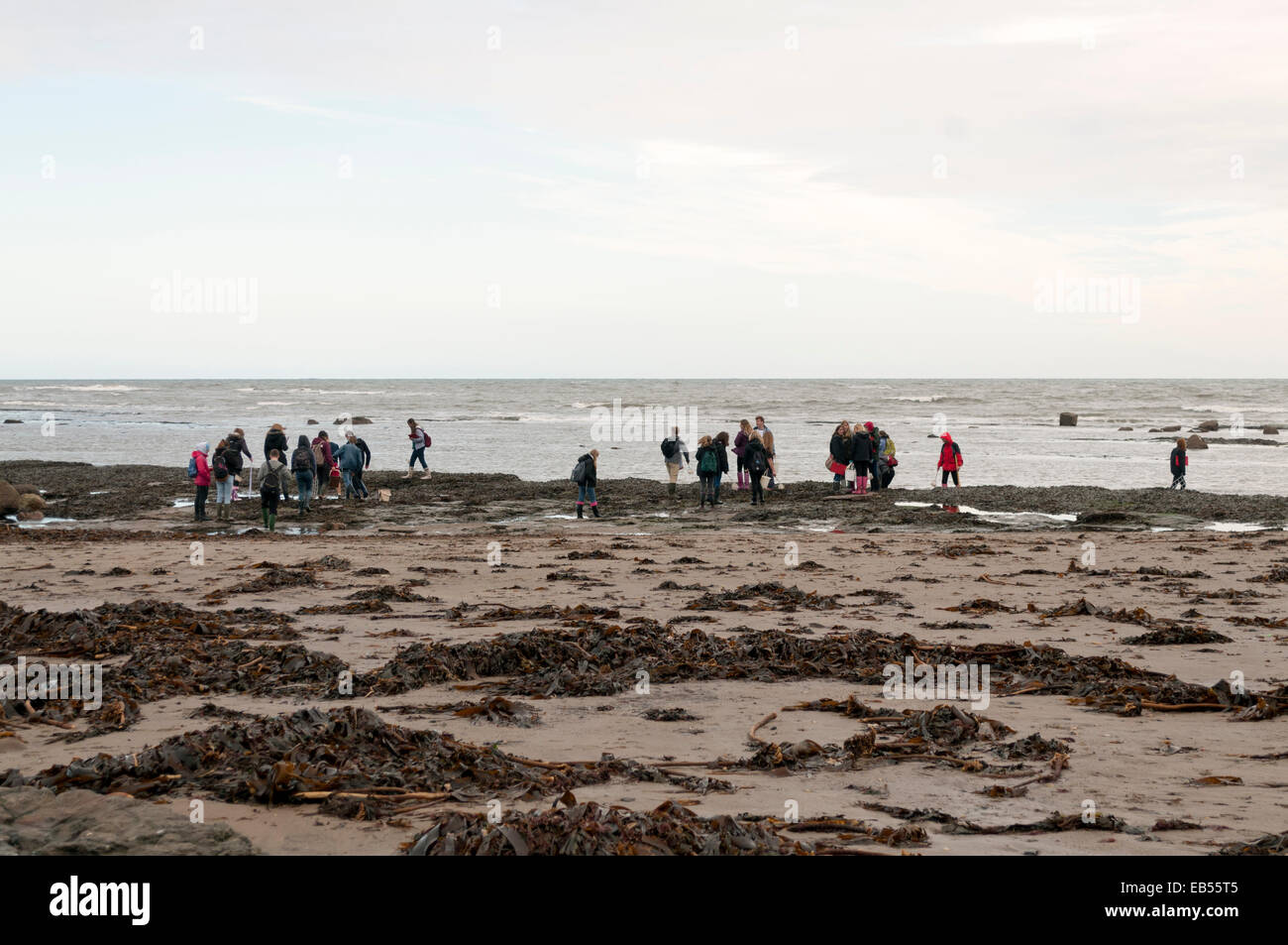 Robin Hood's Bay students exploring rock pools Stock Photo - Alamy