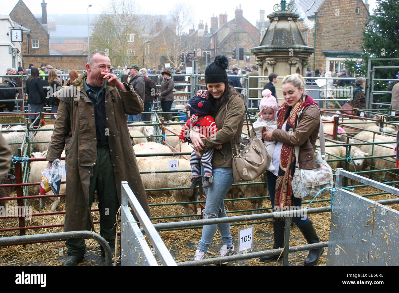 Uppingham fatstock show hi-res stock photography and images - Alamy