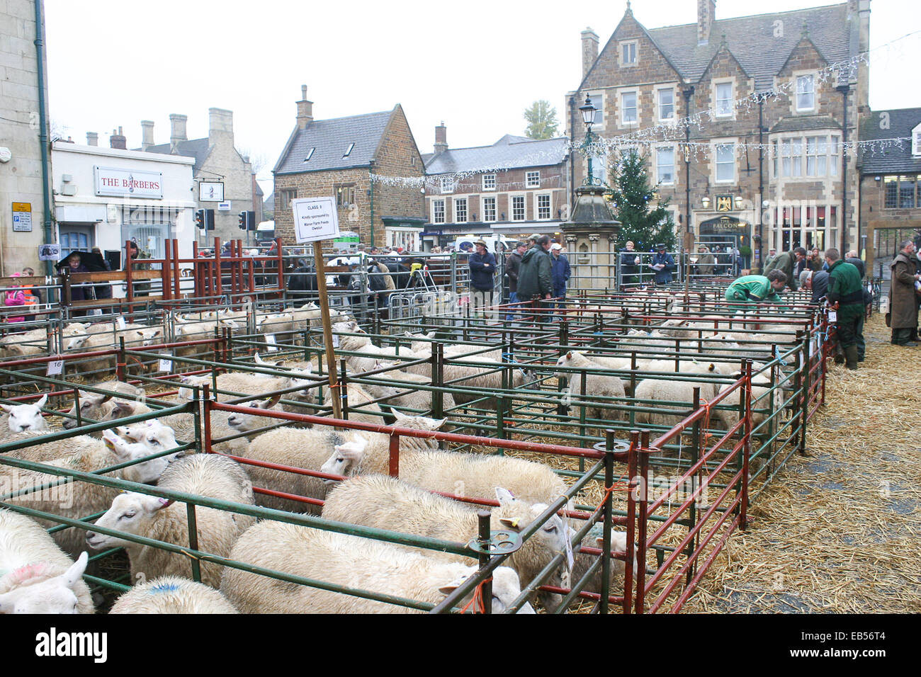 Uppingham fatstock show hi-res stock photography and images - Alamy