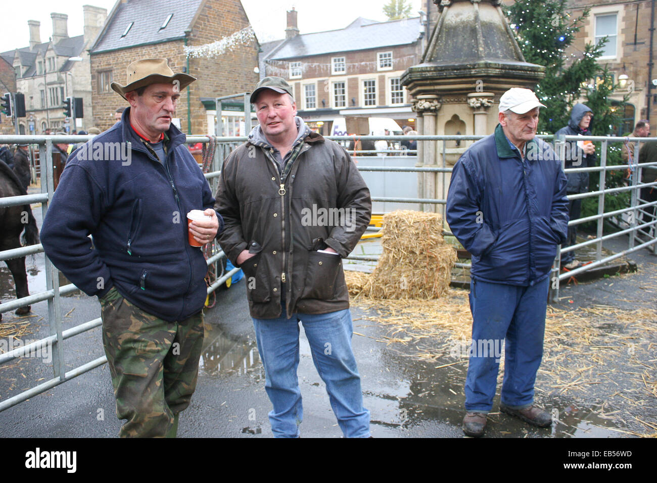 Uppingham fatstock show hi-res stock photography and images - Alamy
