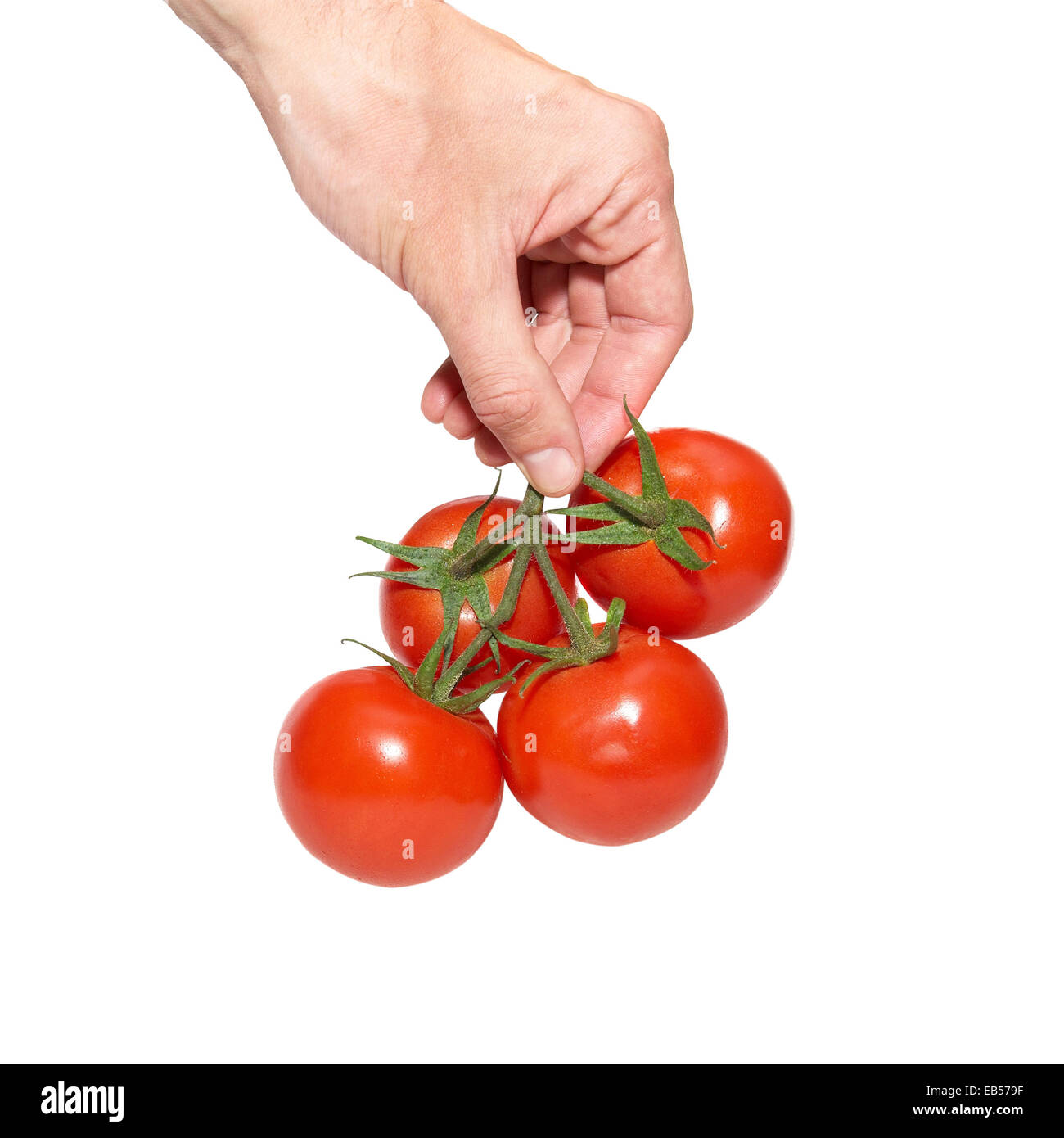 Hand holding tomatoes Cut Out Stock Images & Pictures - Alamy