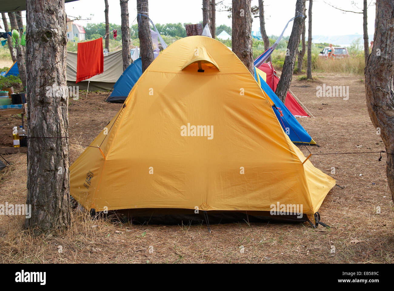 Campsite in the forest with many tents Stock Photo - Alamy