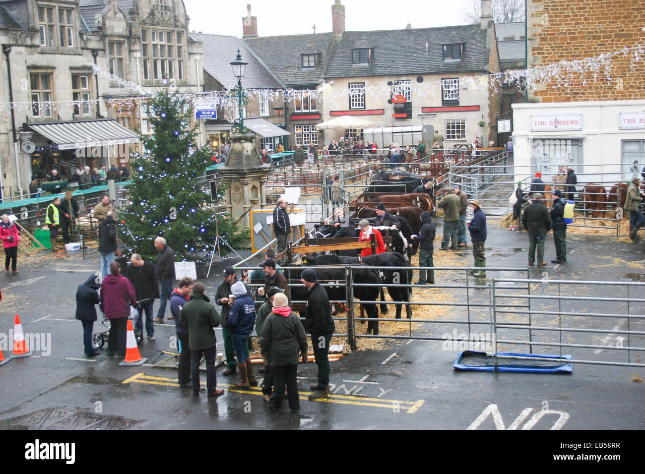 Uppingham fatstock show hi-res stock photography and images - Alamy