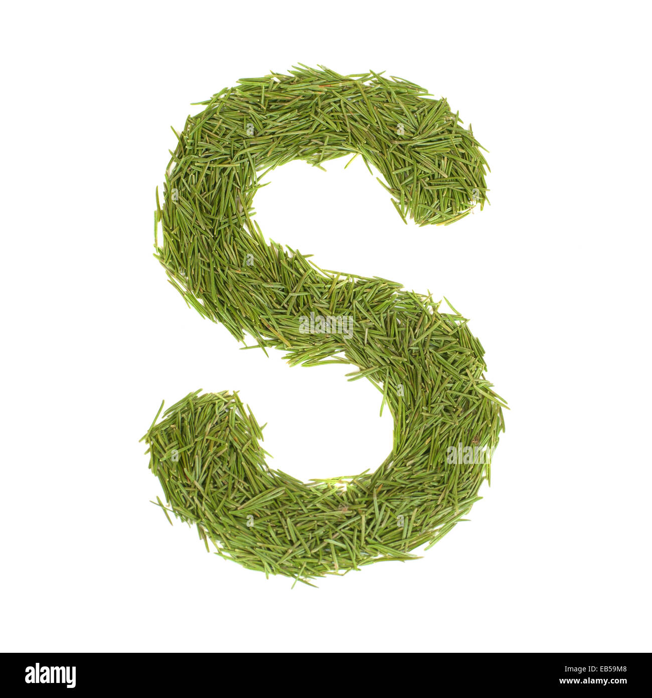 Green Letter S