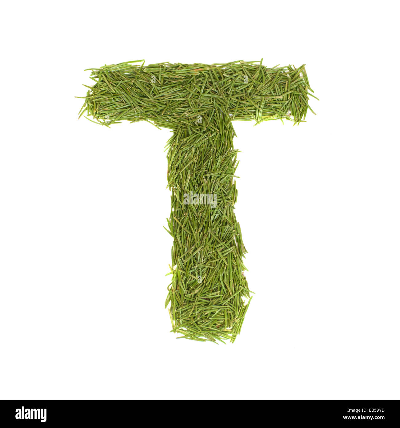 Green T Letter High Resolution Stock Photography and Images - Alamy