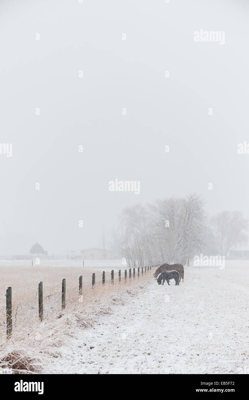 Winter 2014 usa hi-res stock photography and images - Alamy