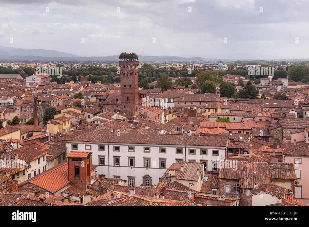 The rooftops of the historic centre of Lucca, Italy. UNESCO has ...