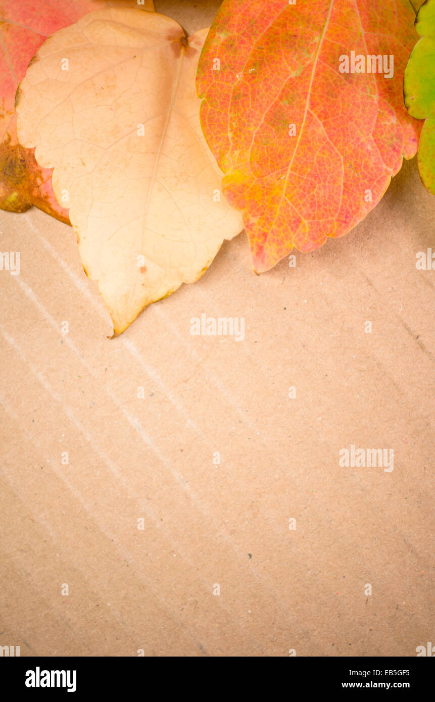 yellow orange leaves on a recycled paperboard surface Stock Photo - Alamy
