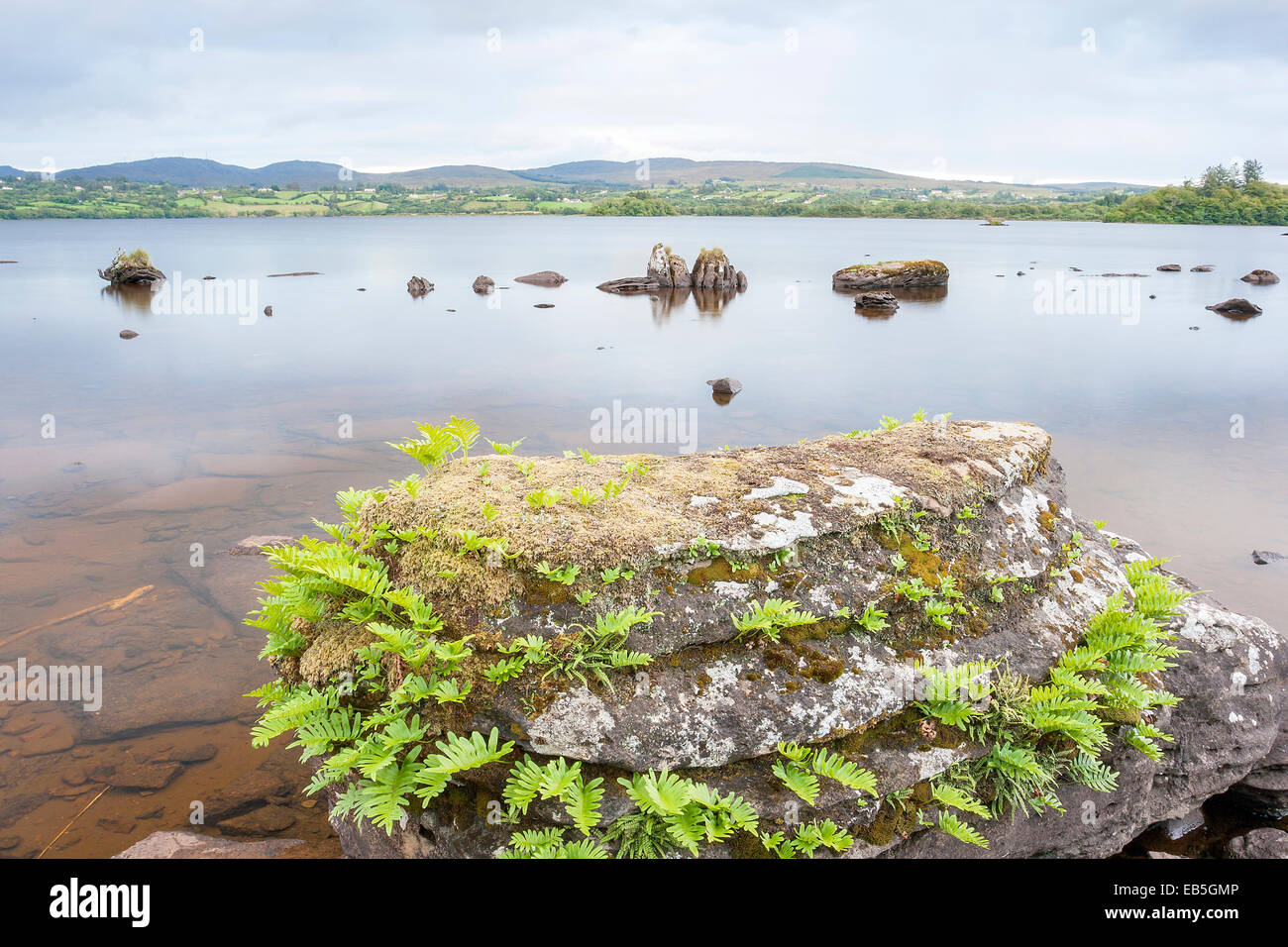 View of The Lake Eske in Donegal, Ireland Stock Photo - Alamy