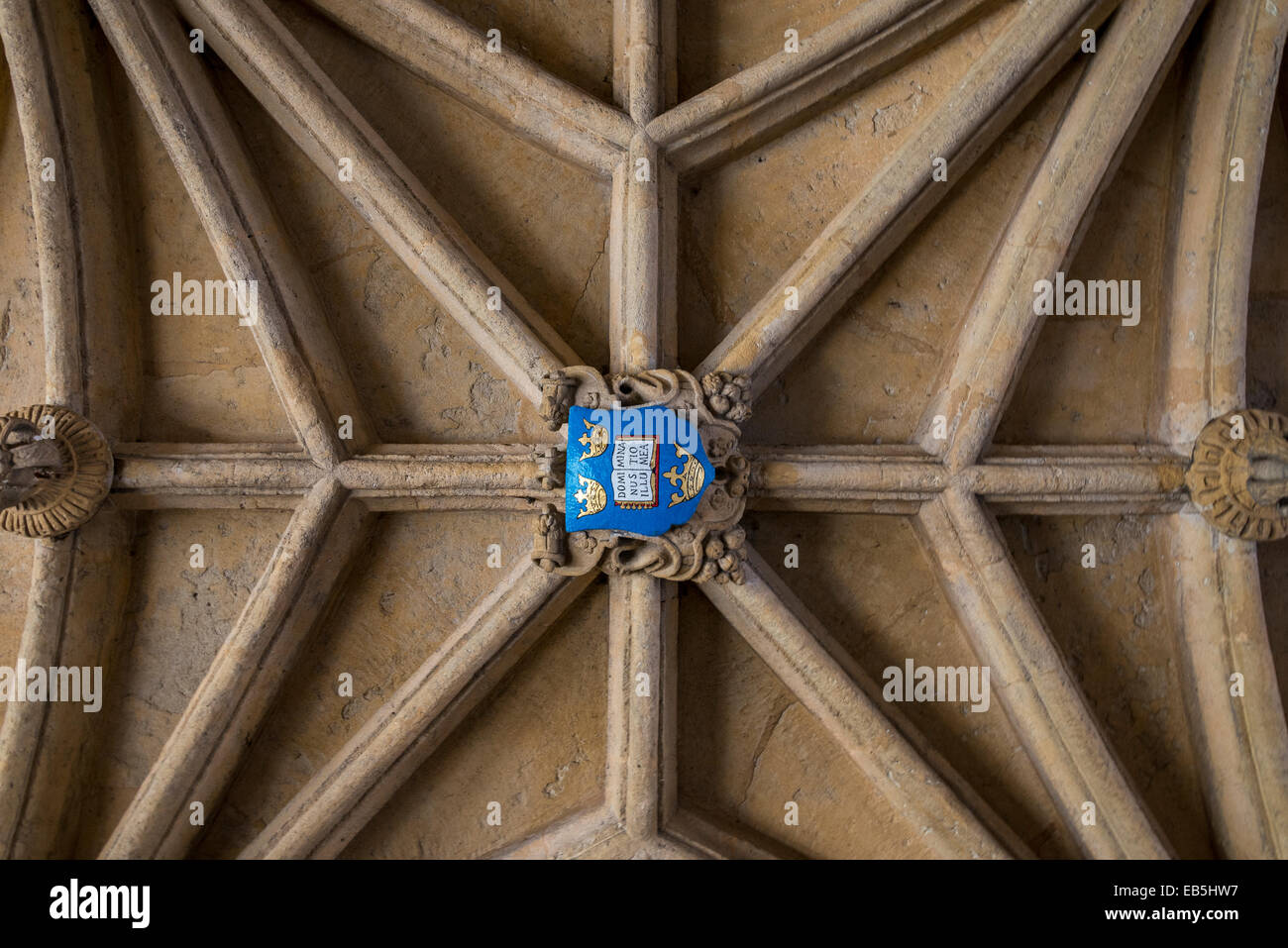 Motto Of The University Of Oxford High Resolution Stock Photography and ...
