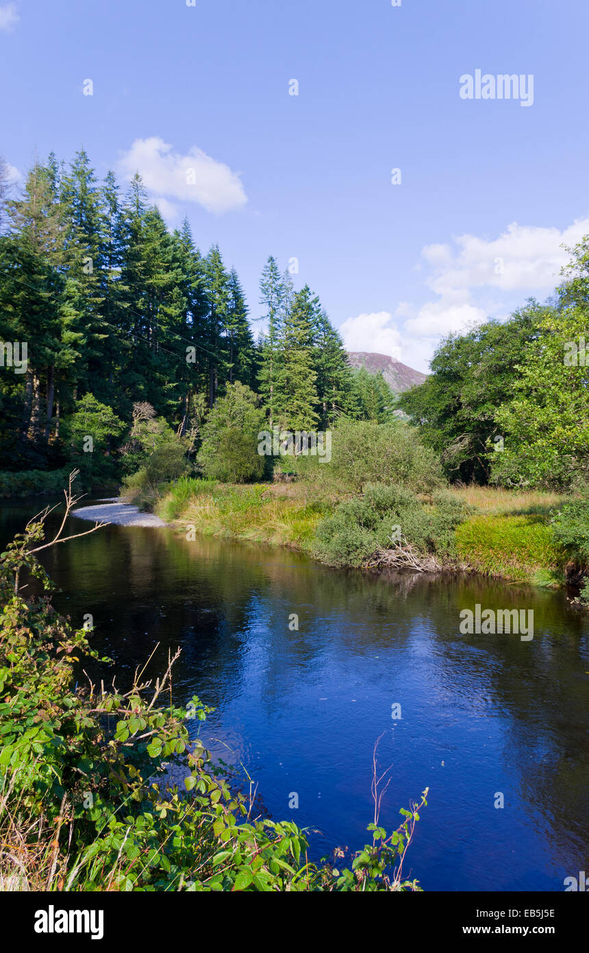 Duchray Water, Dalzell Wood, Queen Elizabeth Forest Park, Trossachs ...