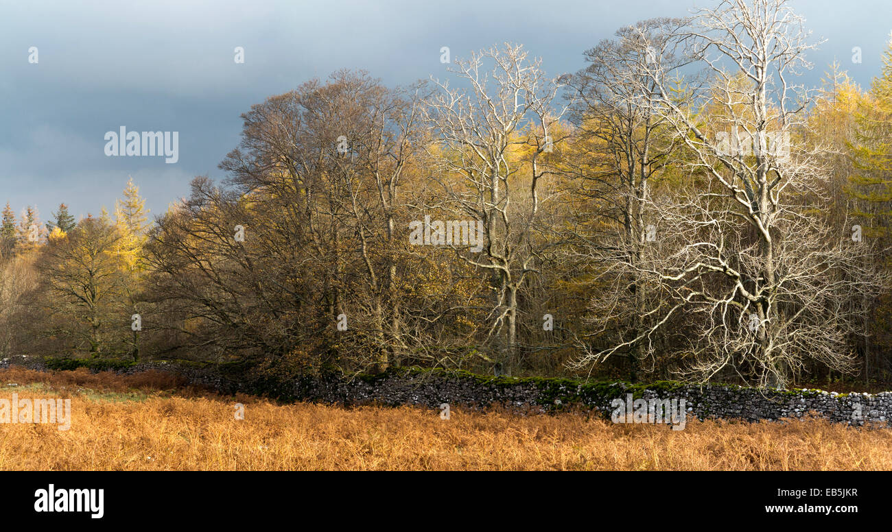Panorama from the top of Knipe Scar looking east with dramatic brooding ...