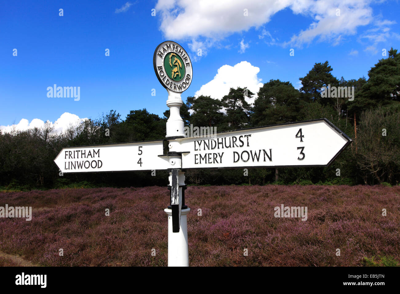 New forest road signs hi-res stock photography and images - Alamy