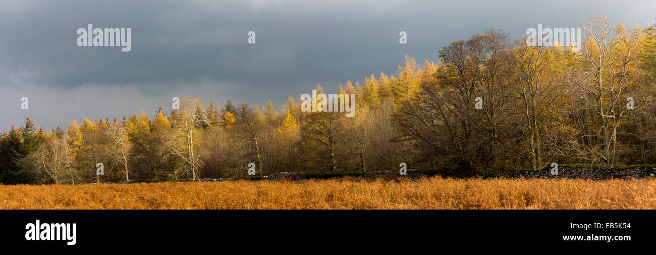 Panorama from the top of Knipe Scar looking east with dramatic brooding ...