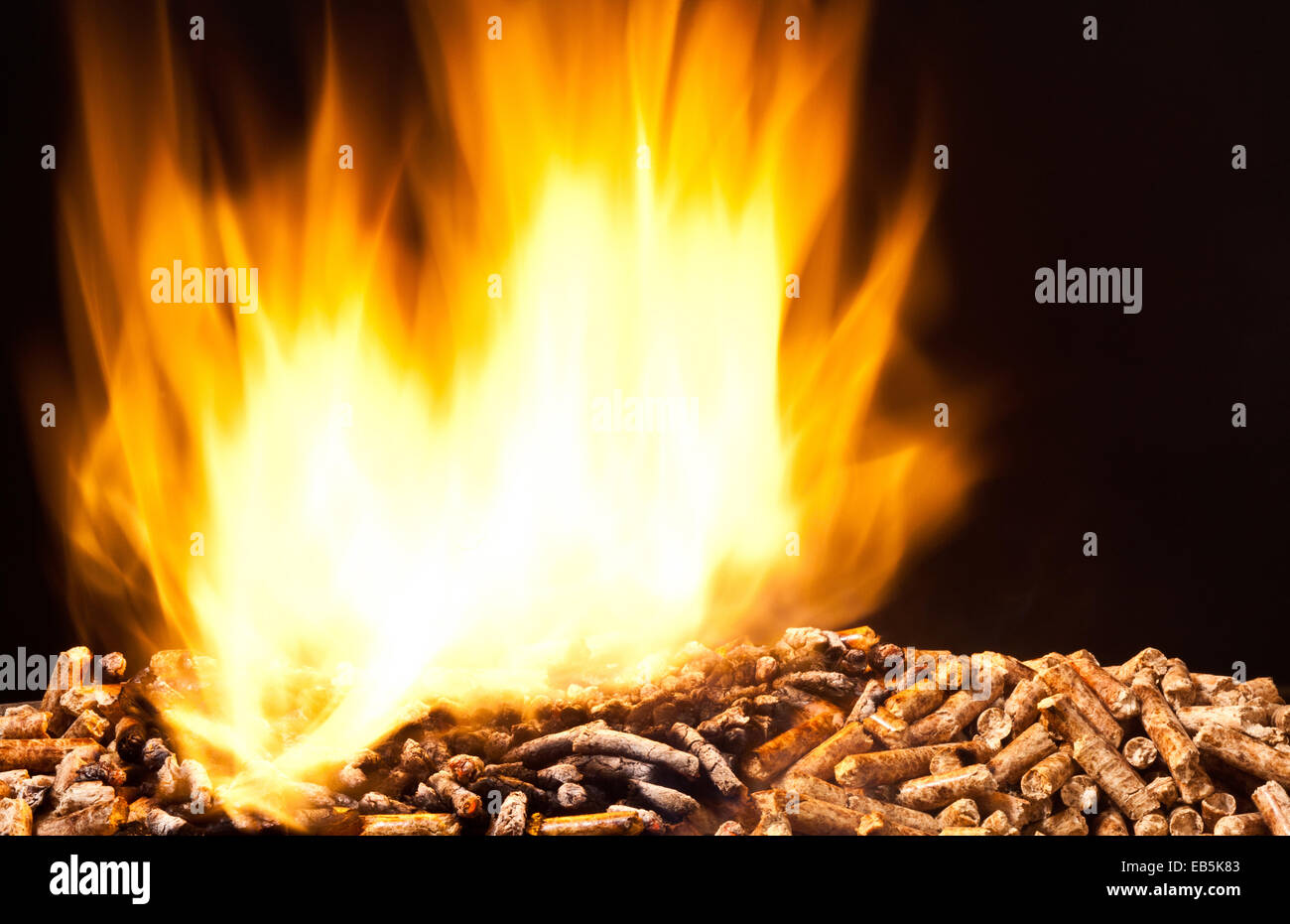closeup image of wood pellets Stock Photo - Alamy
