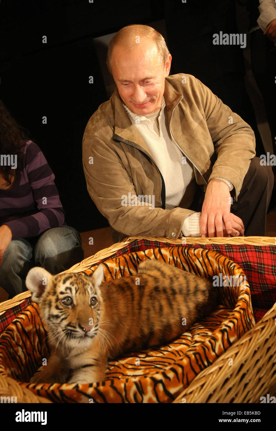 Vladimir Putin Hunting Tiger