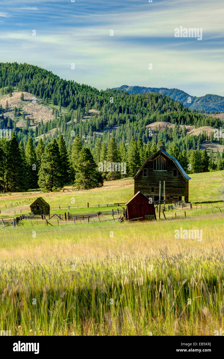 Barn field hi-res stock photography and images - Alamy