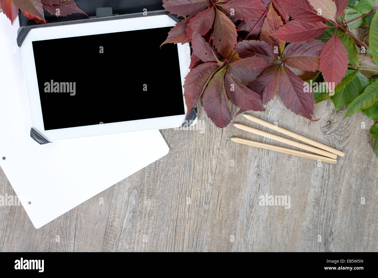 Digital pens hi-res stock photography and images - Alamy