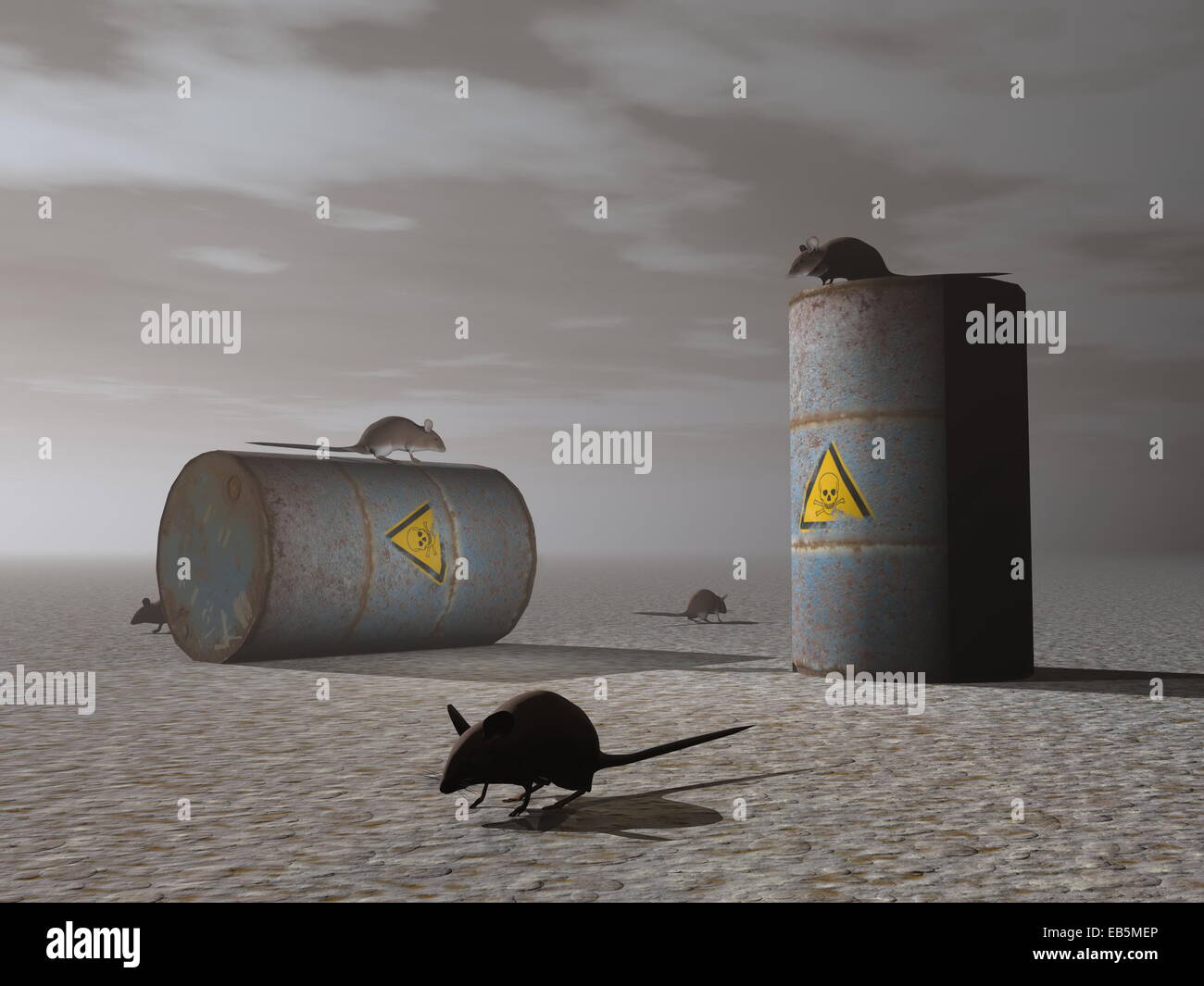 Two toxic barrels with skull sign and rats walking around by dark day ...