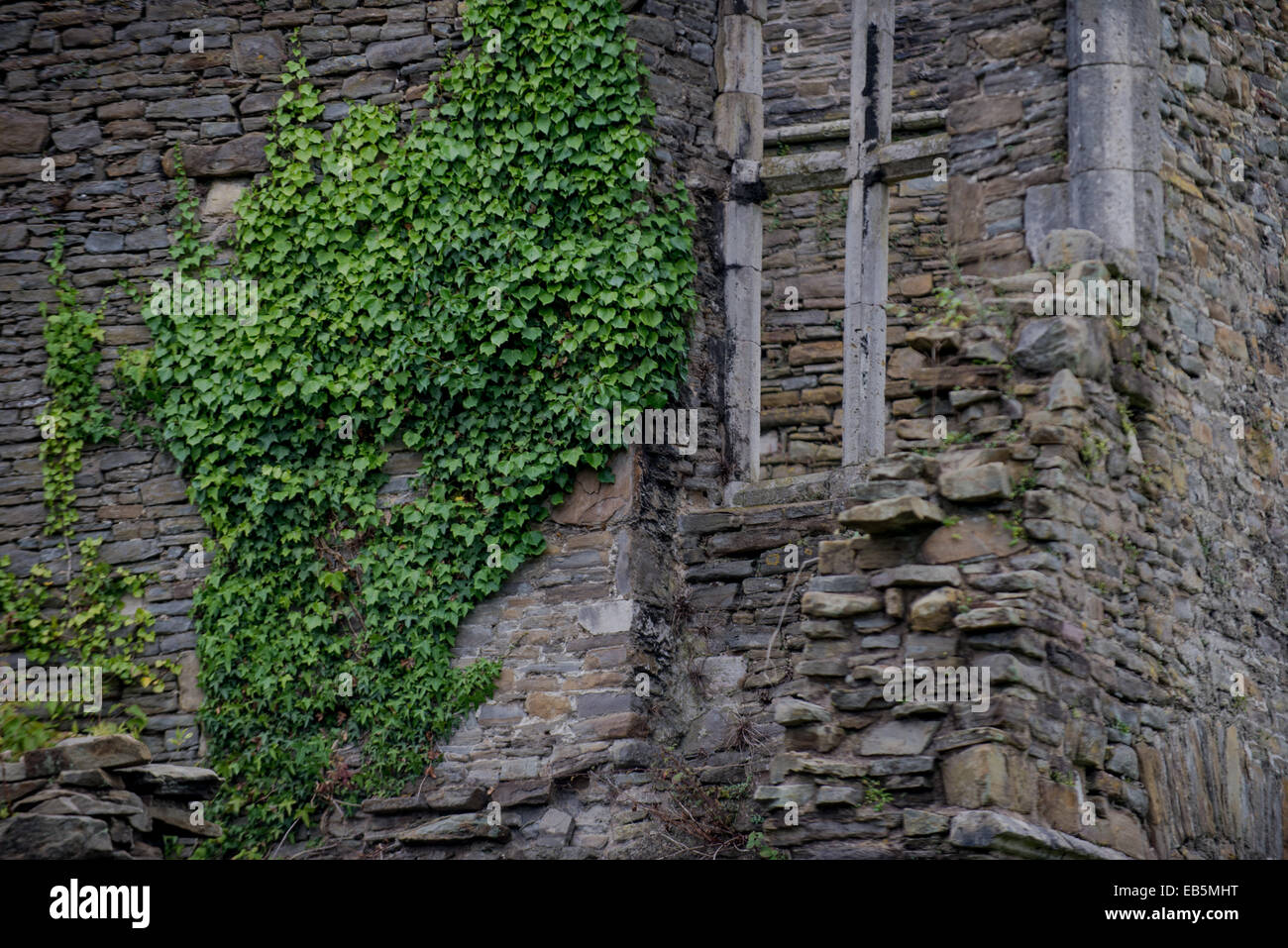 Wednesday 26 November 2014 Pictured: Views of Neath Abbey Re: Views of ...