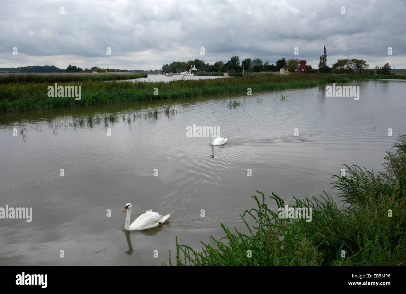 Swans way path hi-res stock photography and images - Alamy