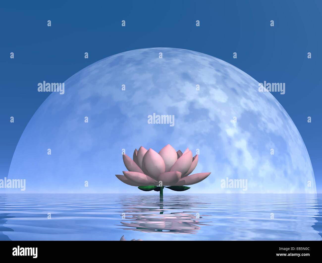 Single pink lily flower upon water in front of big moon by night Stock ...