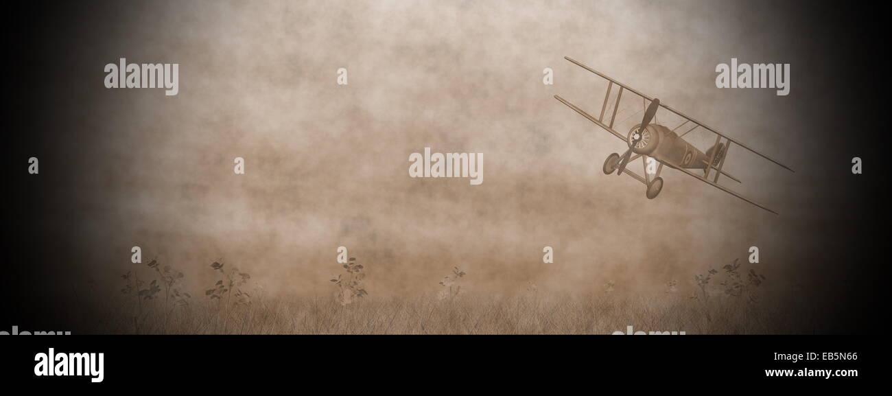 Vintage biplane standing on the green grass with flowers by pink sunset ...
