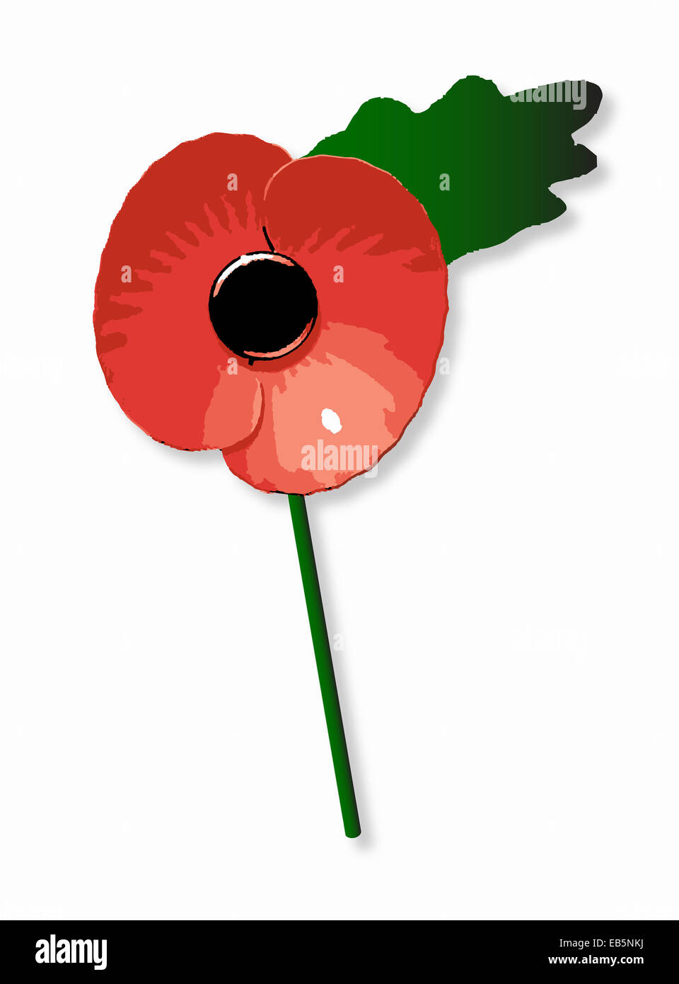 Typical red poppy with leaf and stalk over a white background Stock ...