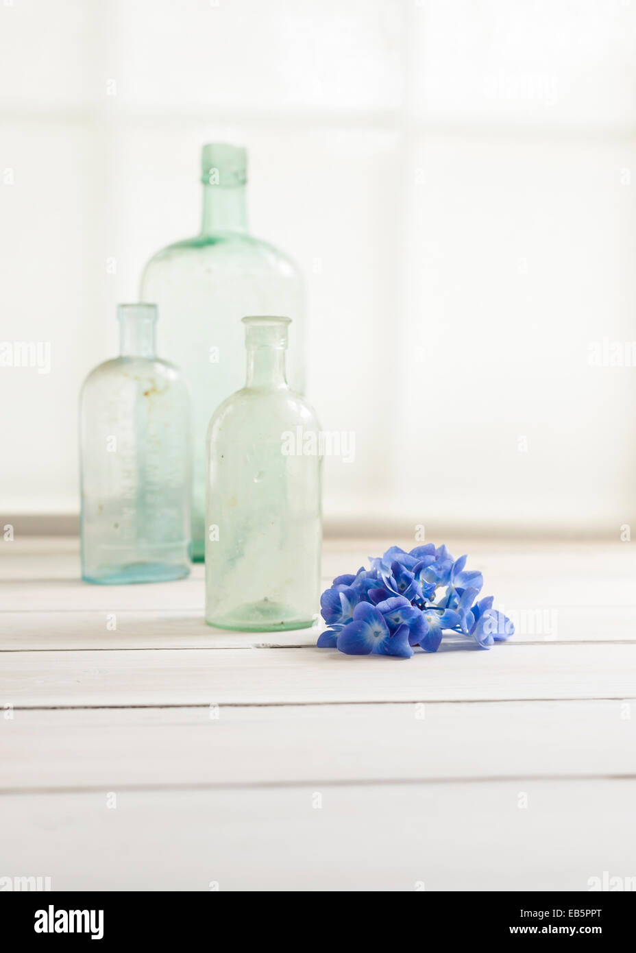 three vintage glass bottles by the window and blue hydrangea flowers ...