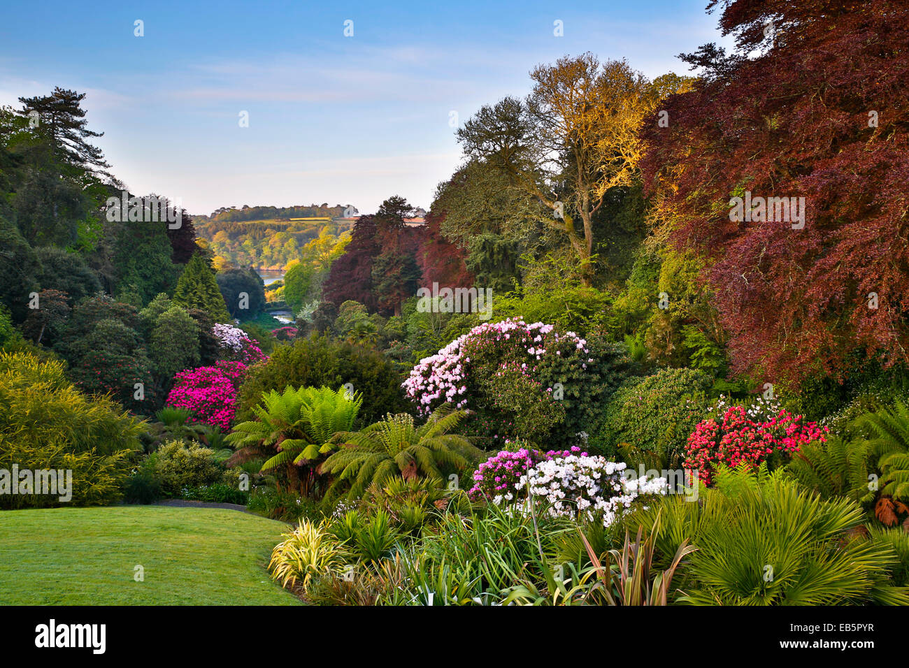 Spring cornwall hi-res stock photography and images - Alamy