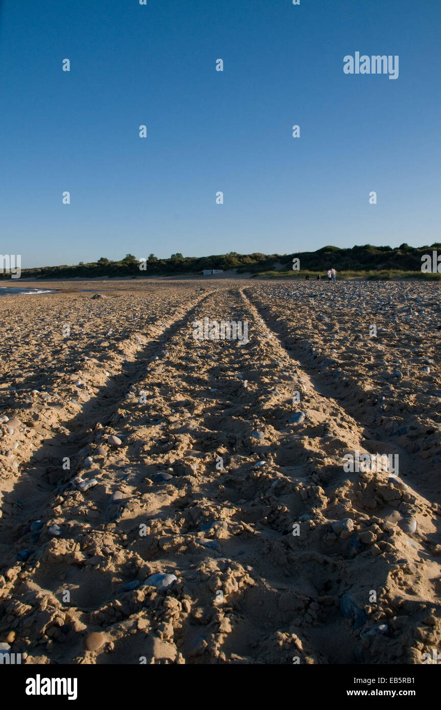 Following the Tracks Stock Photo - Alamy