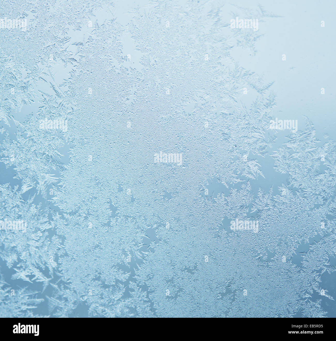 ice pattern on a window Stock Photo - Alamy