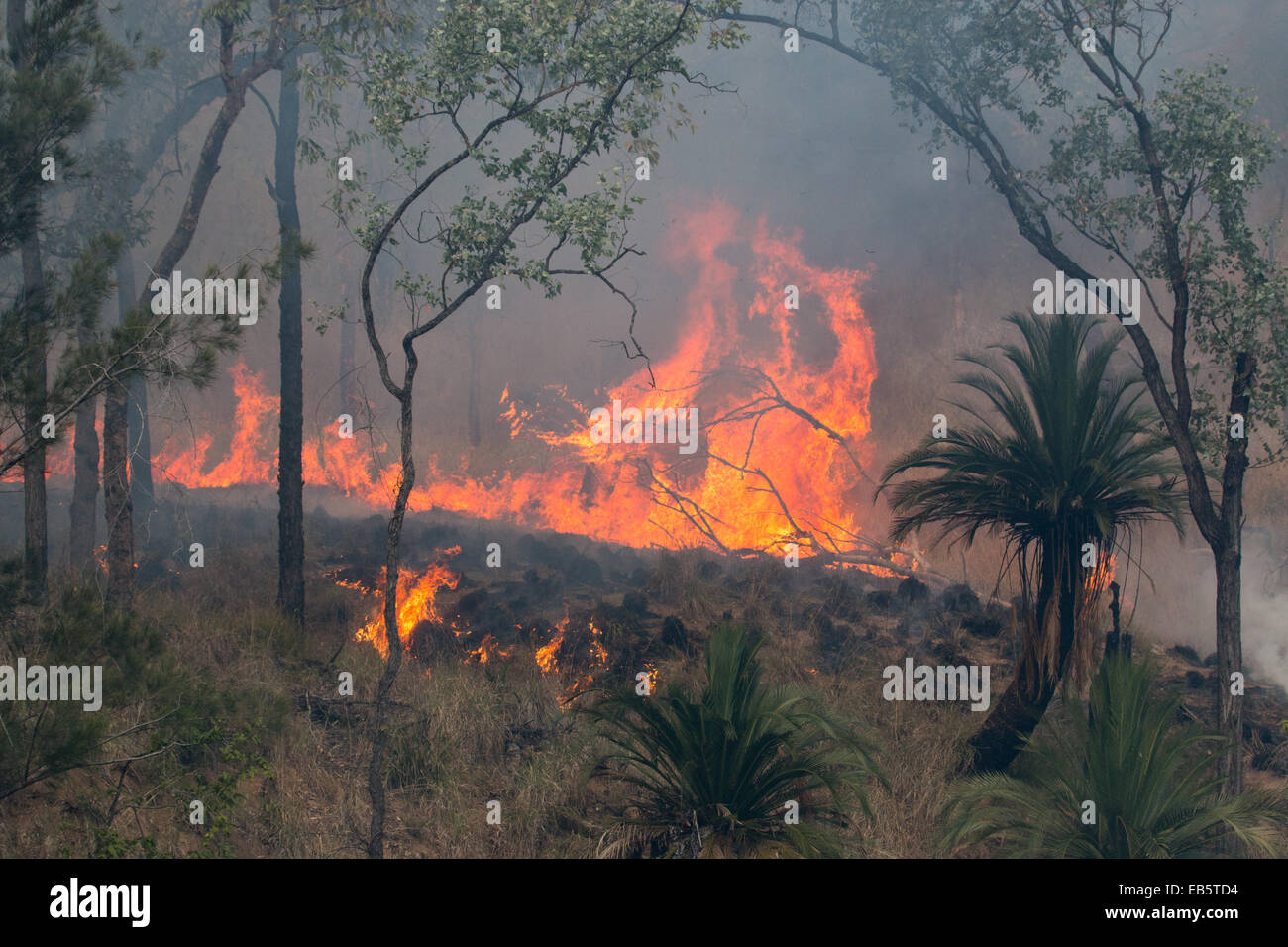 Australian Fire Stock Photos & Australian Fire Stock Images - Alamy
