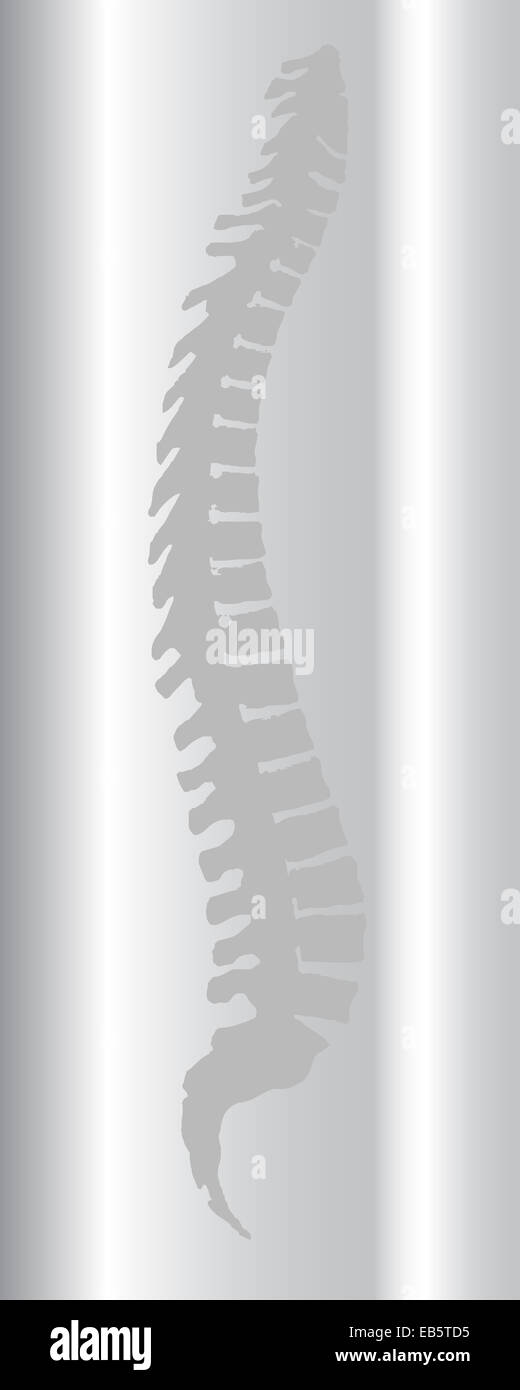 Backbone skeleton hi-res stock photography and images - Alamy