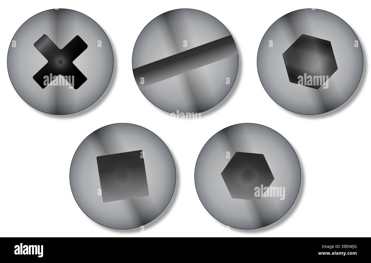 A collection of five regularly used screw heads over a white background ...