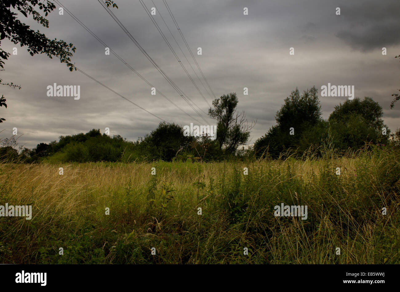 Incoming storm clouds approaching over an overgrown field Stock Photo ...