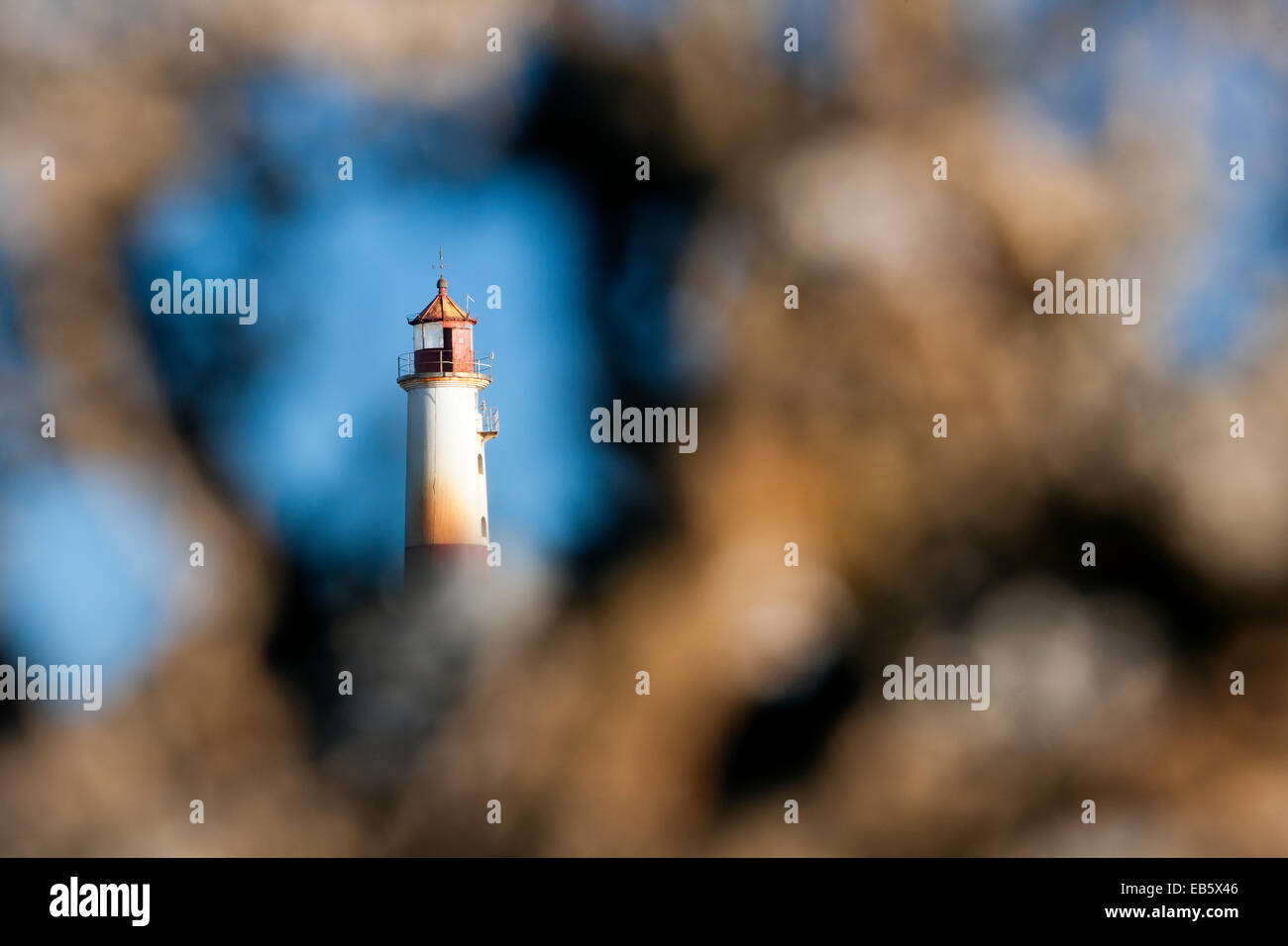 Dias point lighthouse hi-res stock photography and images - Alamy