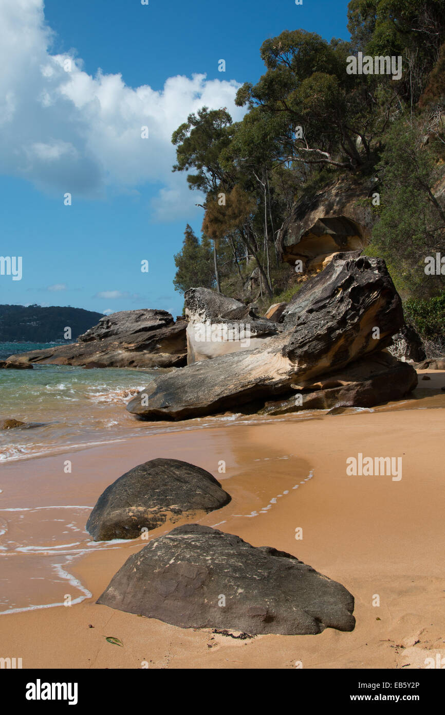 Ku ring gai chase national park hi-res stock photography and images - Alamy