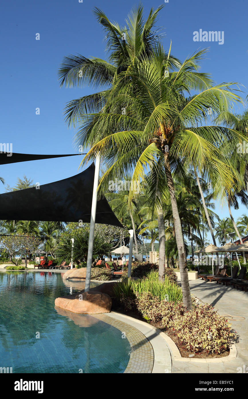 Palm tree swimming pool hi-res stock photography and images - Alamy