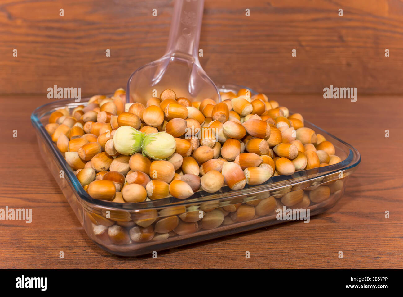 Garden hazelnuts hi-res stock photography and images - Alamy