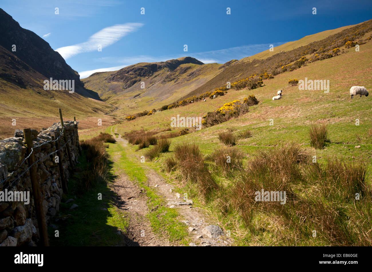 The Newlands Valley in the Lake District National Park. Robinson is ...