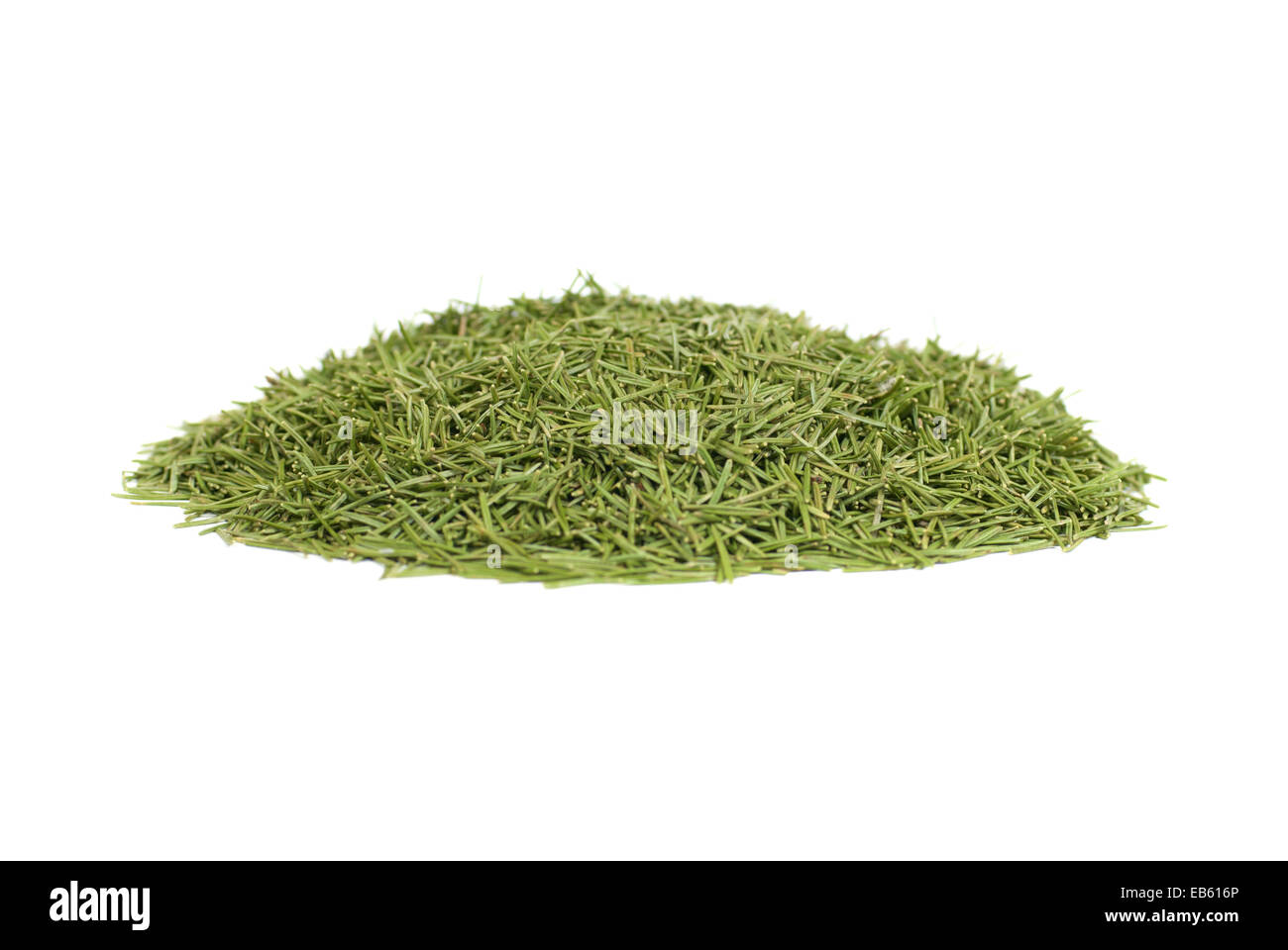Stack of green needles isolated on white Stock Photo - Alamy