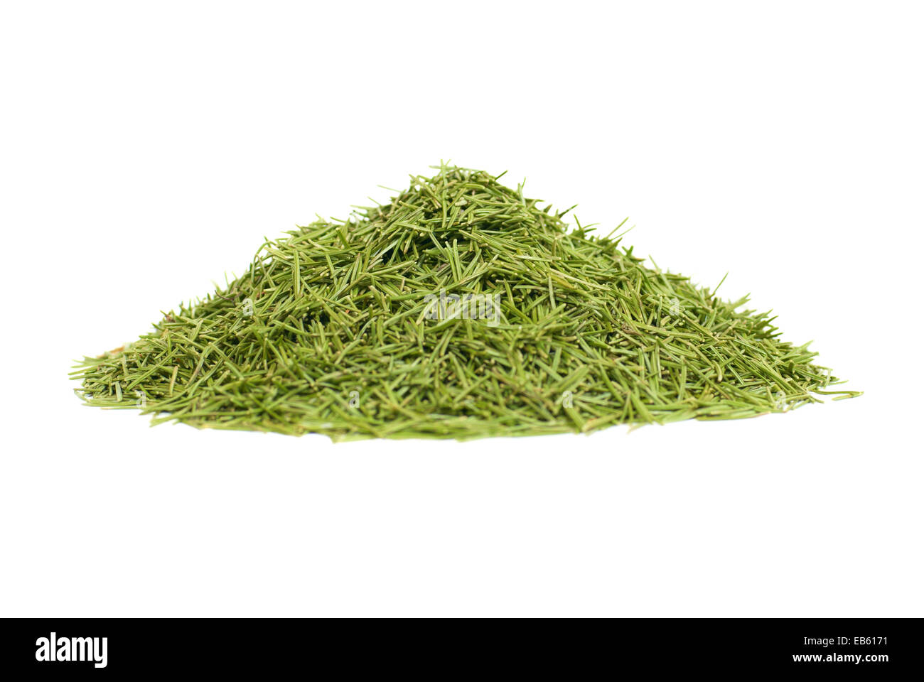 Stack of green needles isolated on white Stock Photo - Alamy