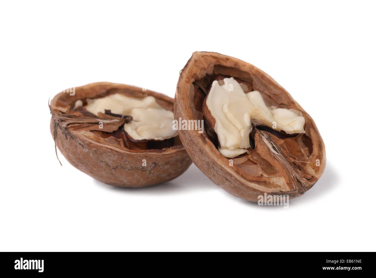 Halves of walnut isolated on white background Stock Photo - Alamy