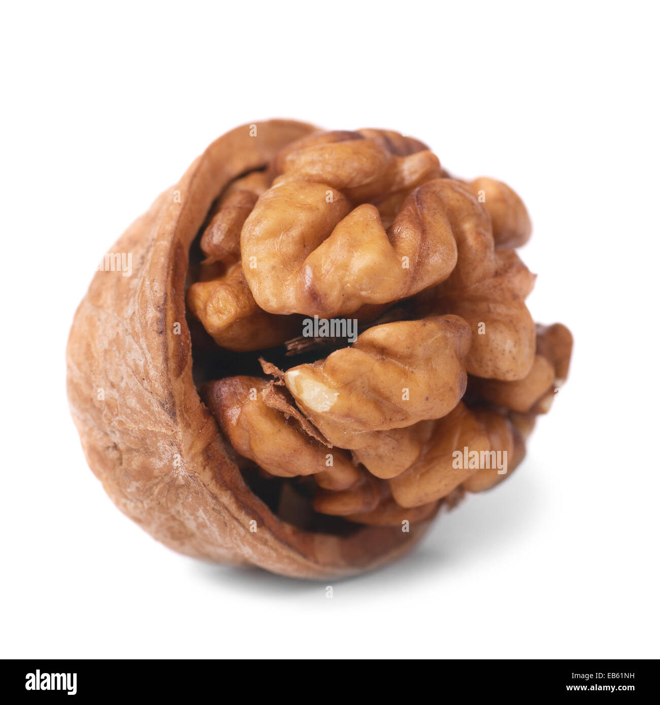 Walnut and shell isolated on white background Stock Photo - Alamy