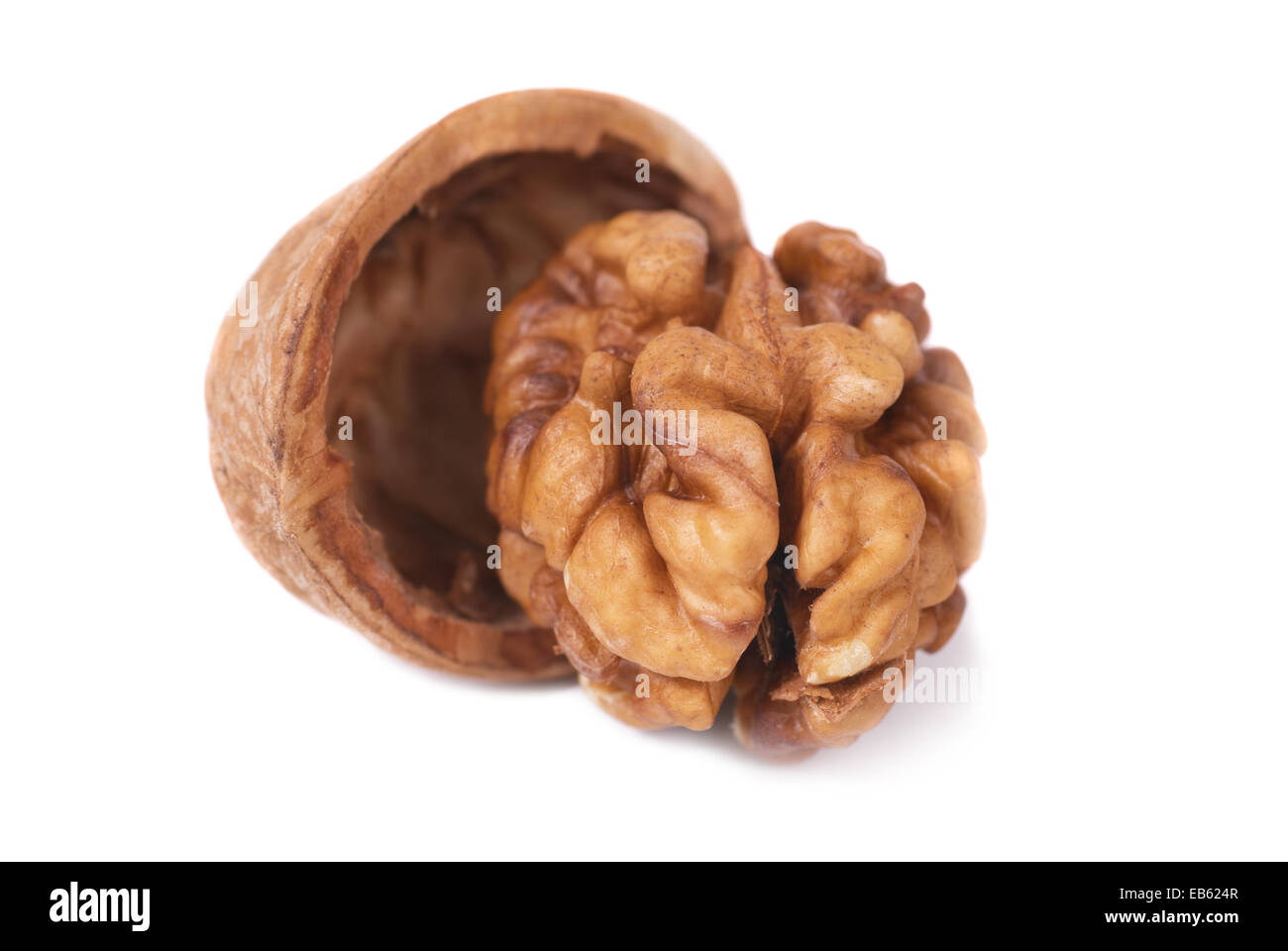 Walnut and shell isolated on white background Stock Photo - Alamy