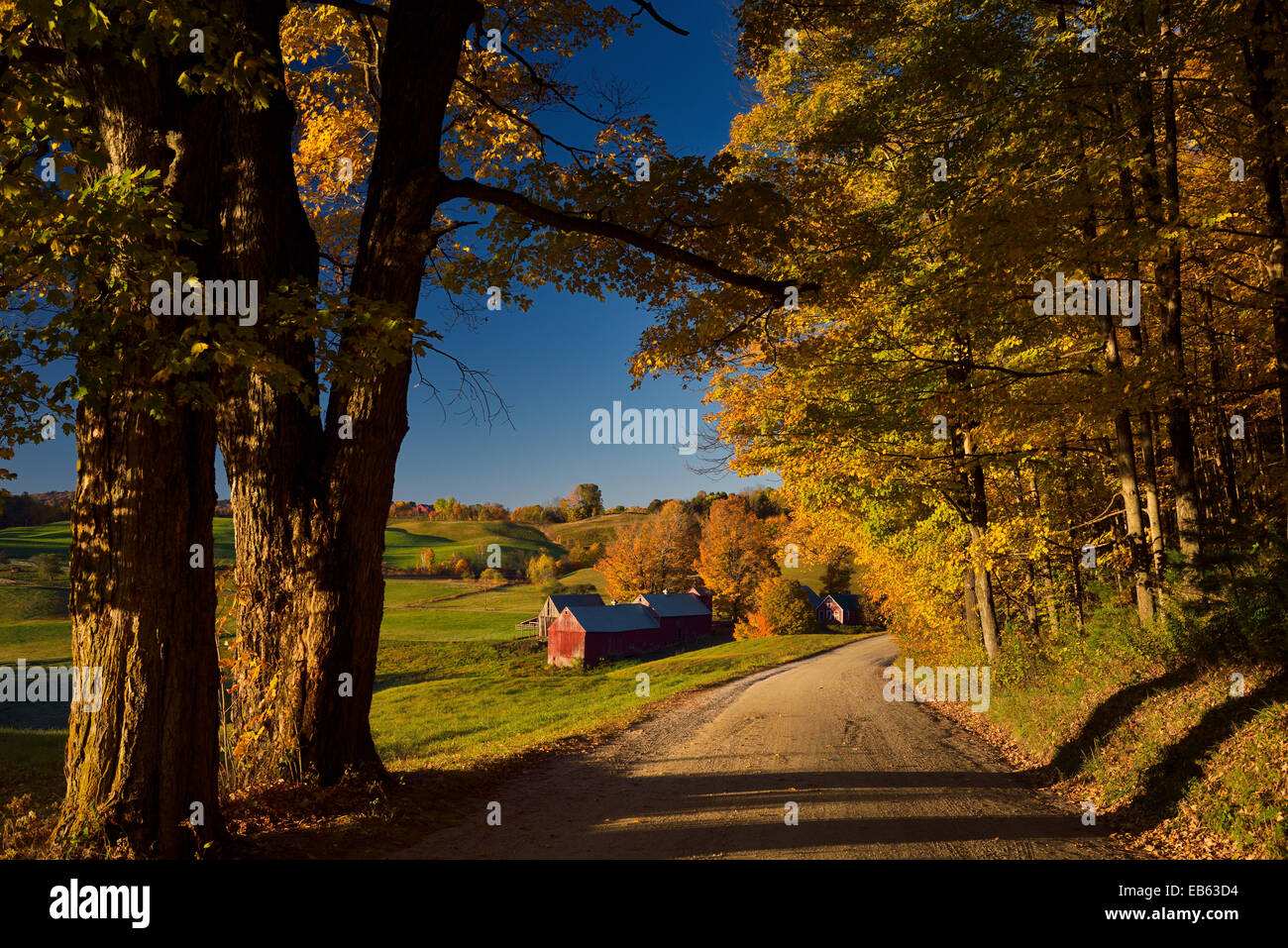 Jenne Road farm in Reading Vermont USA with trees in colorful Fall ...