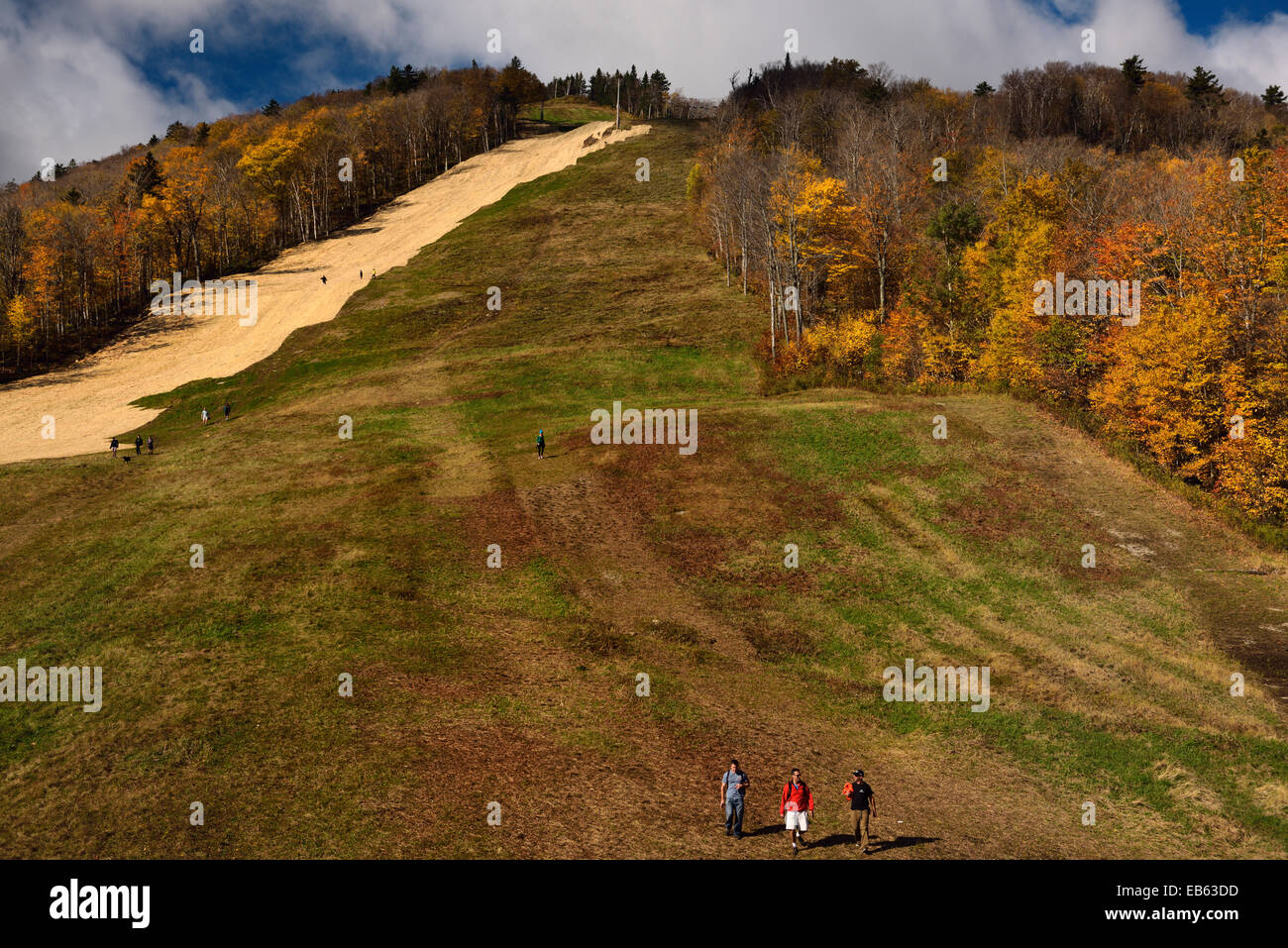 Hikers walking down Highline run at Killington Mountain Resort Vermont ...