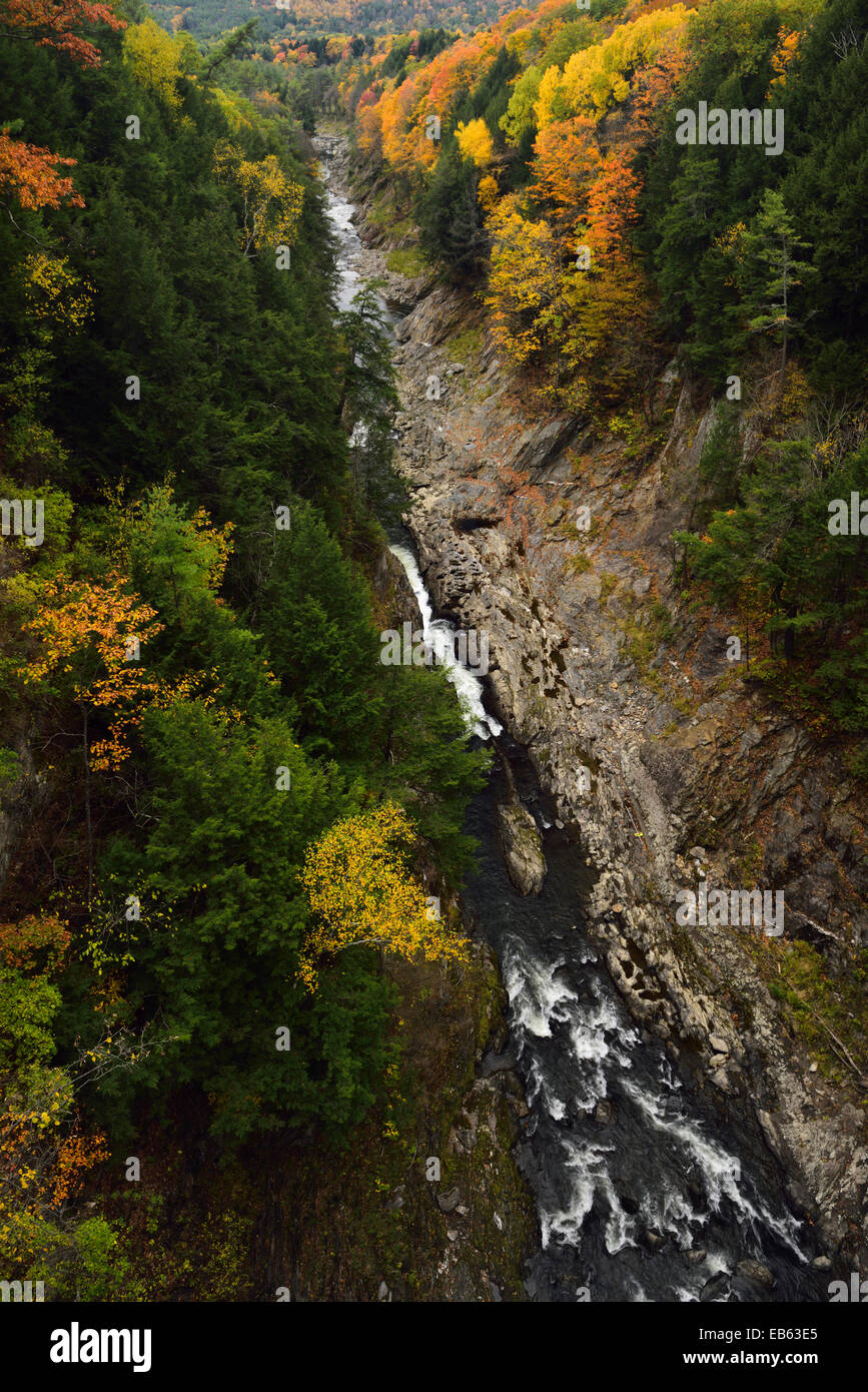 Bright Fall colored leaves along the Ottauquechee river at Quechee ...