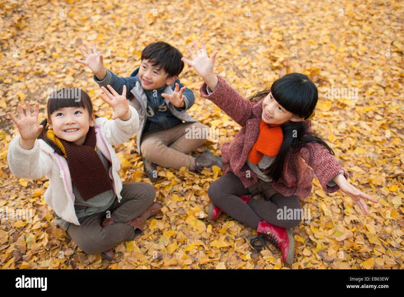 Three children catching falling leaves Stock Photo - Alamy